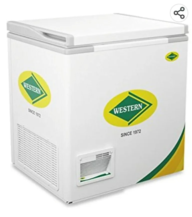 Western 220L Deep Freezer D300H124 Single Door (4 Star) - Chilling Mart